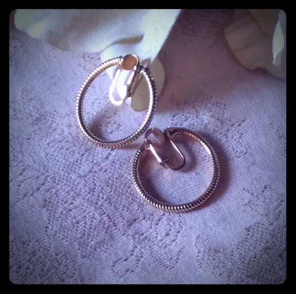 Vintage | Jewelry | Vintage Snake Chain Hoop Earrings | Poshmark